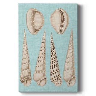 Sepia & Aqua Shells VI Premium Gallery Wrapped Canvas - Ready to Hang ...