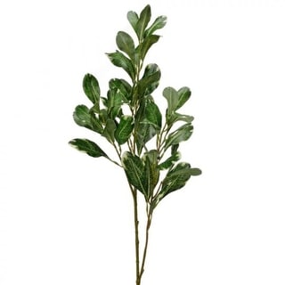 Varigated Green Pittisporum Spray Faux Plants And Trees - Bed Bath ...