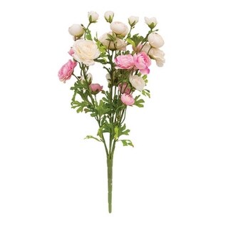 Pink & Cream Ranunculus Bush - 18" - Bed Bath & Beyond - 41712408