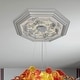 Silver Four Leaf Clover and Silver Frame Octagon Chandelier Ceiling ...