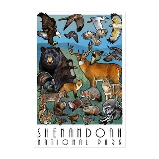Shenandoah National Park Illustrations Animals Parks Art Print/Poster ...