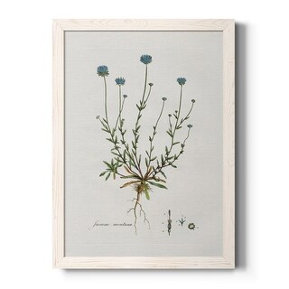 Bellflower Study-Premium Framed Canvas - Ready to Hang - Bed Bath ...