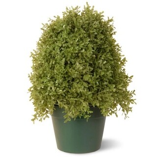 15" Potted Artificial Boxwood Jade Plant - Bed Bath & Beyond - 16607539