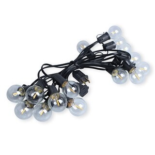 LEDPAX 100-Light 100 ft. Indoor and Outdoor LED String Light, Black (2 ...