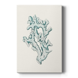 Antique Coastal Coral IV Premium Gallery Wrapped Canvas - Ready to Hang ...