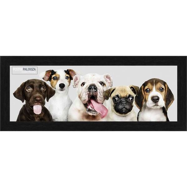 10x24 Shadow Box Frame Black Display Case Solid Wood Shadowbox with UV ...