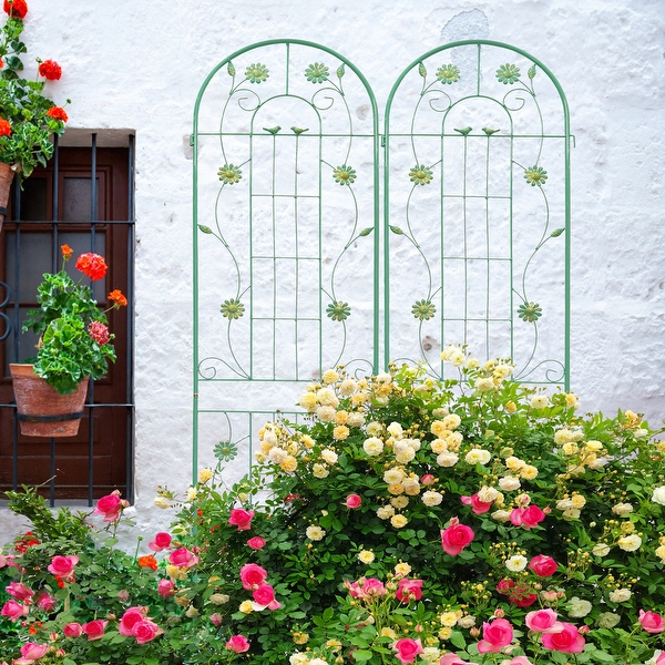 2 Pack Metal Garden Trellis 867 X 197 Rustproof Trellis For