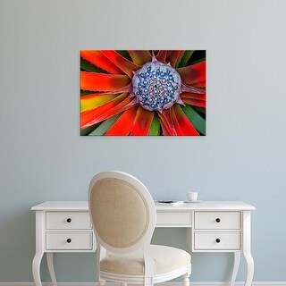 Easy Art Prints Darrell Gulin's 'Center Of A Blooming Agave' Premium ...
