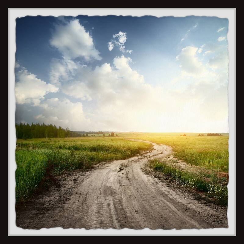 'Path Less Taken' Framed Painting Print - Overstock - 35538727