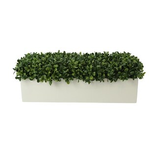 UV Rated Outdoor Boxwoods Arranged in a Rectangular Planter - Green ...