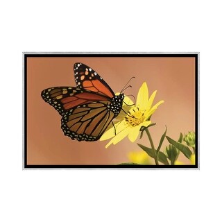 iCanvas "Monarch Butterfly" by Brian Wolf Framed - Bed Bath & Beyond ...