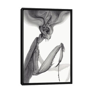 iCanvas "Mantis" by Jamie Wells Framed Canvas Print - Bed Bath & Beyond ...