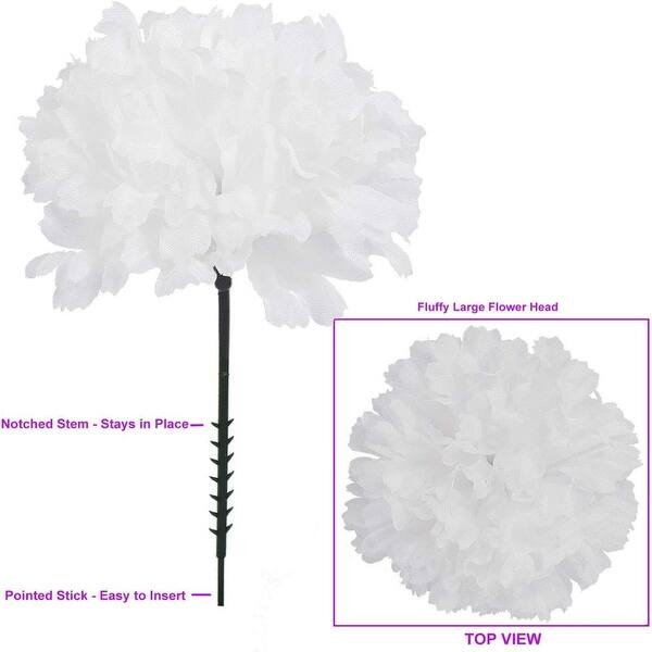white carnation picks