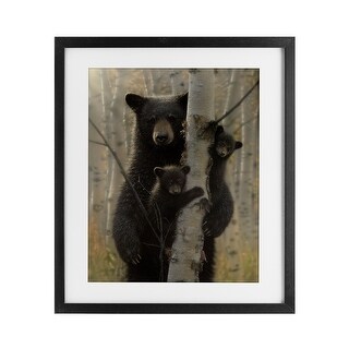 Mama Bear Behind Tree Collin Bogle - Bed Bath & Beyond - 43239710