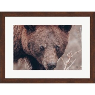 Nathan Larson 'Bear Portrait' Framed Art - Bed Bath & Beyond - 37073951