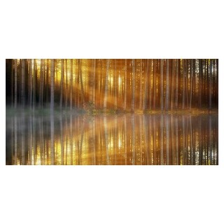 Gilded Forest Canvas Art Print - Bed Bath & Beyond - 38918488
