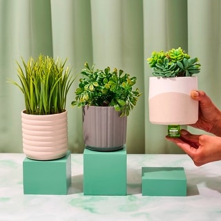 Lifelines Plant Diffuser - Bed Bath & Beyond - 41019120