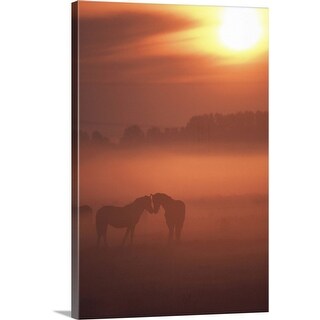 "horses in dew" Canvas Wall Art - Bed Bath & Beyond - 16379775