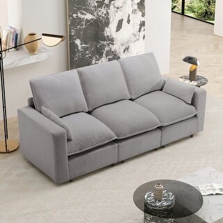 3 Seat Sofa with Removable Back and Seat Cushions and 2 pillows,Teddy ...