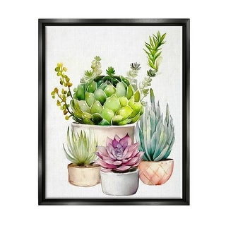 Stupell Varied Succulent Garden Plants Framed Floater Canvas Wall Art ...