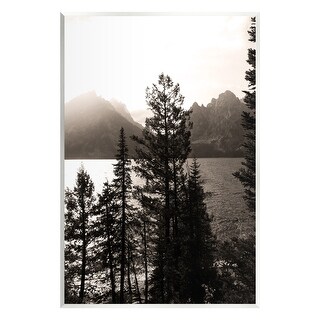 Stupell Trees & Lake View Wall Plaque Art Daniel Sproul - Bed Bath ...