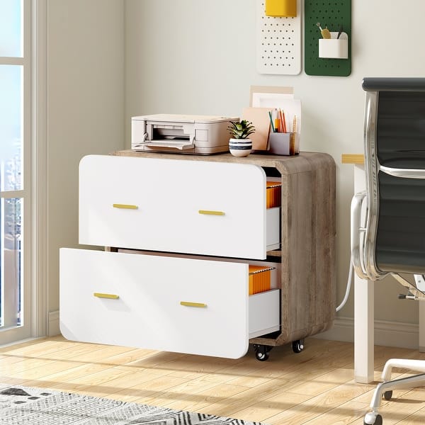 Moasis 2 Drawers File Cabinet for A4/Letter Size with Charging Station ...
