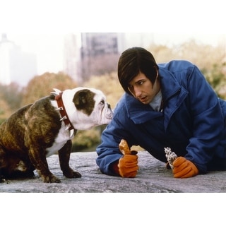 Adam Sandler Excerpt from Little Nicky Movie Photo Print - Bed Bath ...