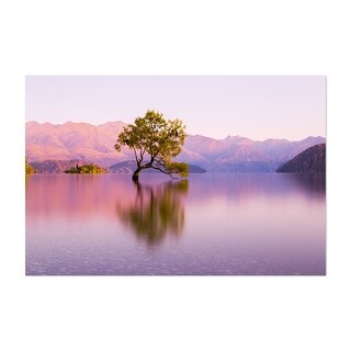 Lake Wanaka New Zealand Tree of Wanaka Photography Art Print/Poster ...