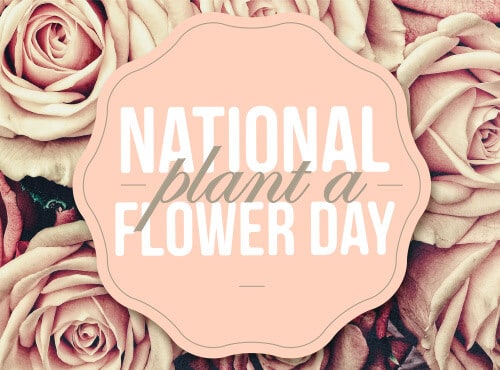 National Plant a Flower Day
